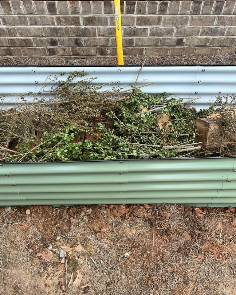 A Complete Review of Vego Garden Beds: Pros, Cons, and Everything In ...