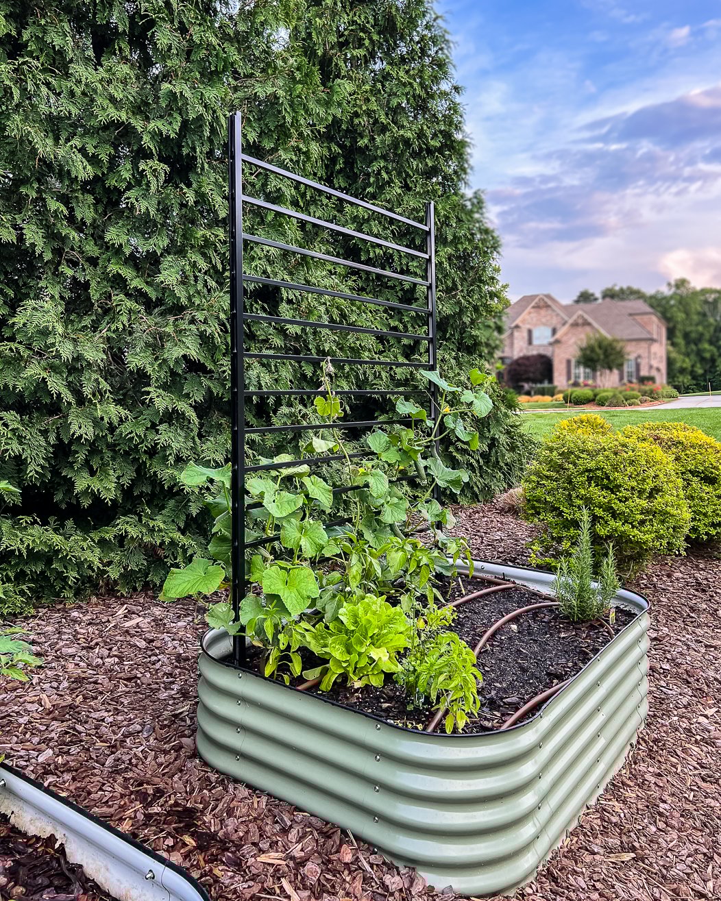 A Complete Review of Vego Garden Beds: Pros, Cons, and Everything In ...