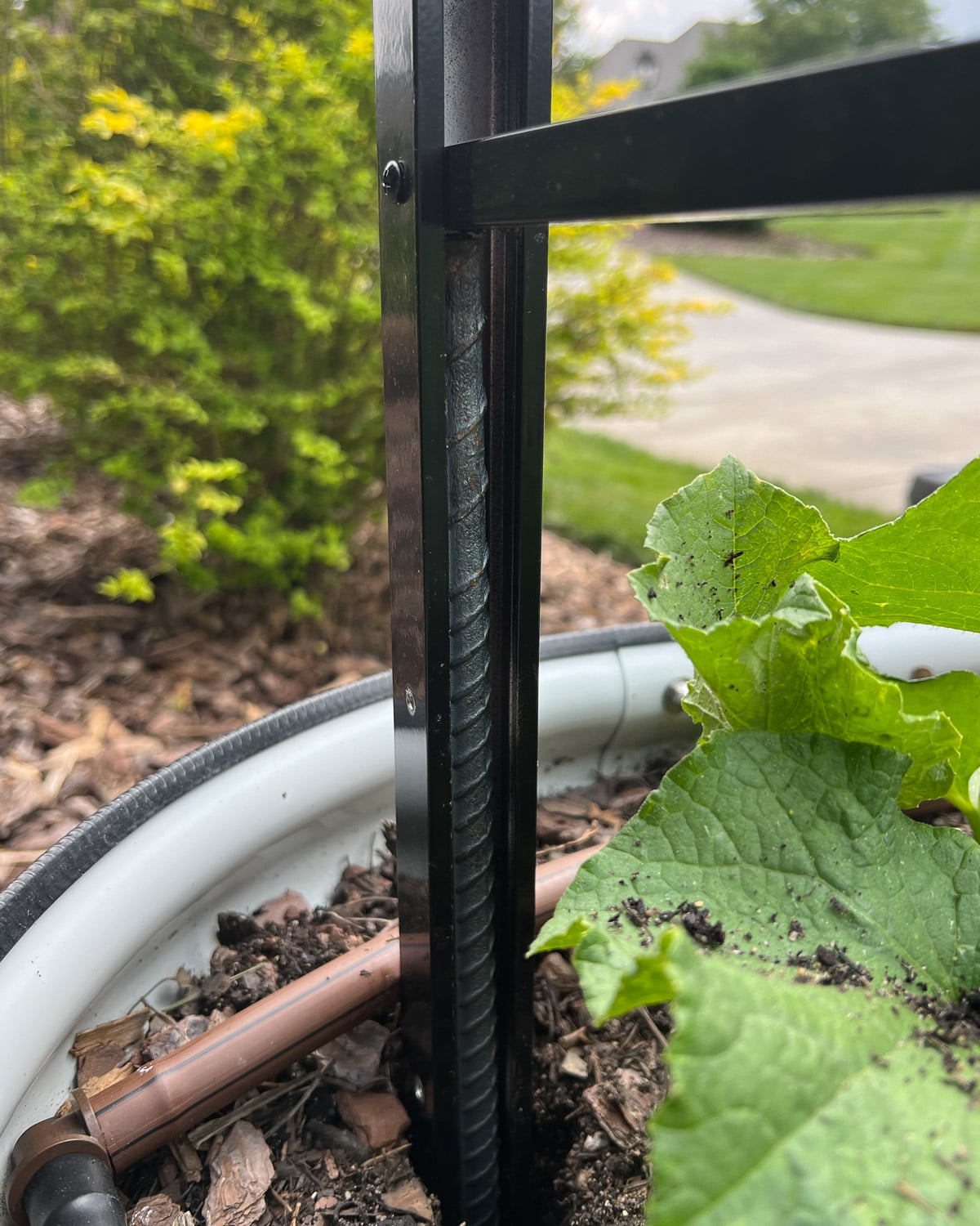 Modern DIY Garden Trellis