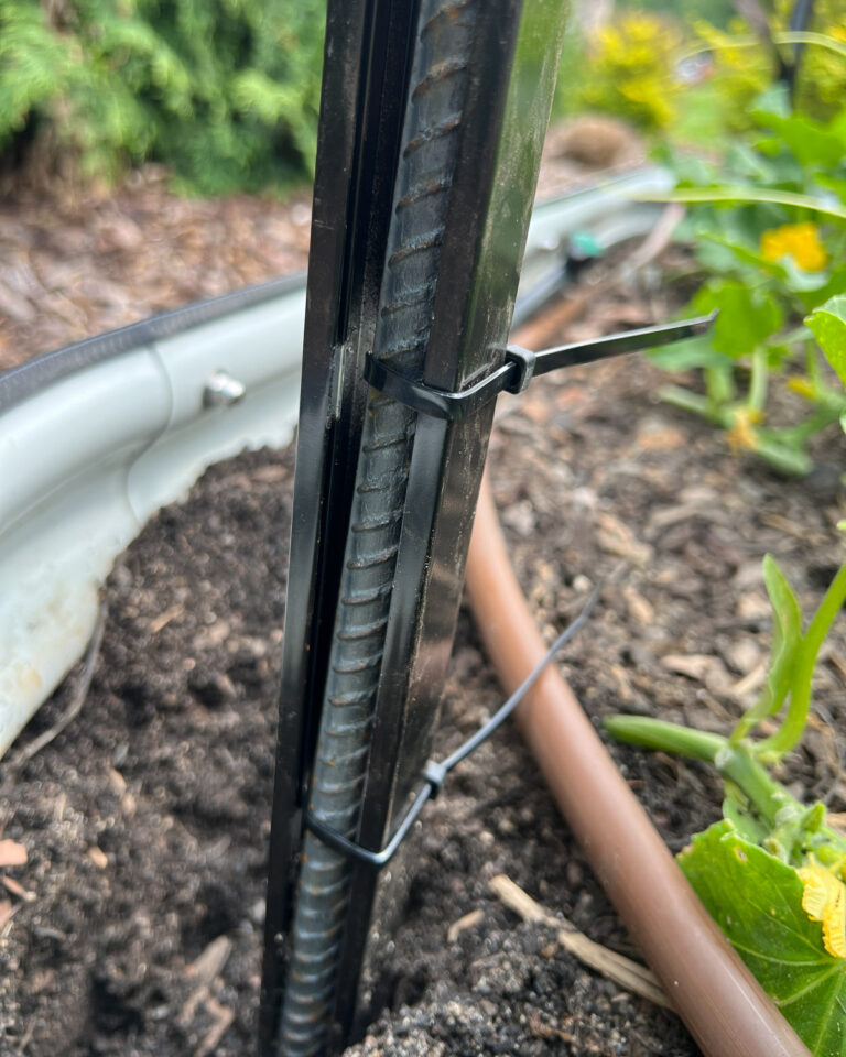 Modern DIY Garden Trellis